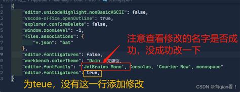 Vs Code字体总是安装不上，vscode字体安装 Vs字体安装包 Csdn博客