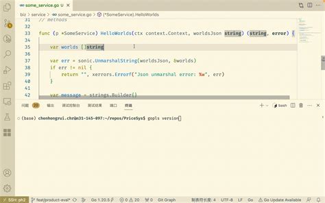Xtoolsgopls Poor Performance With Very Large Packages In Import Graph · Issue 61207 · Golang