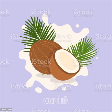 코코넛 우유입니다 코코넛 우유 스플래시에 벡터 일러스트입니다 0명에 대한 스톡 벡터 아트 및 기타 이미지 0명 건강한 생활
