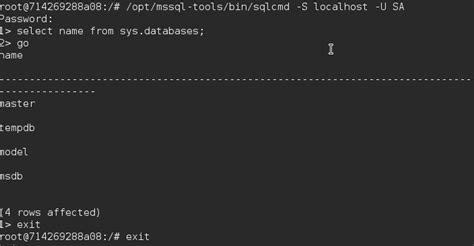 Understanding Backup And Restore Operations In Sql Server Docker Containers