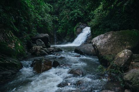 Readme Me ยืนงงในดงป่า Unseen เมืองรองนครนายก เส้นทางน้ำตกเขื่อนขุนด่านปราการชล