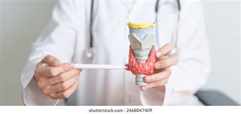 5 Hundred Postpartum Women With Cancer Royalty Free Images Stock