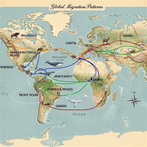 Mislabeled Regions Stock Illustrations 5 Mislabeled Regions Stock