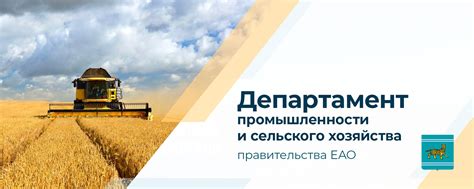 Департамент промышленности и с х ЕАО Департамент пром и сель хозяйства правительства