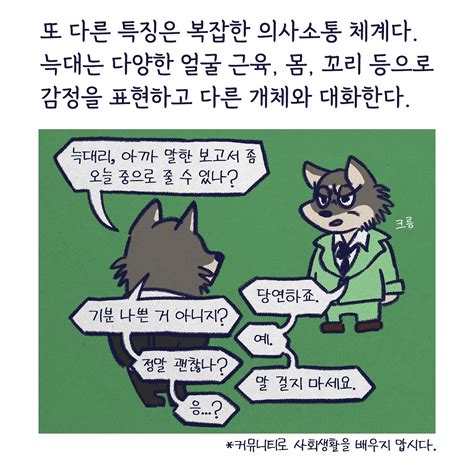 비열한 회색늑대