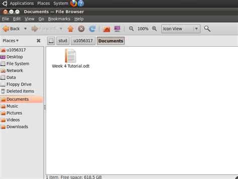 My University Work Evidence For Pdp File Handling In Linux