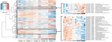 Transcription Factor Specific Hierarchical Clustering Of Time Course