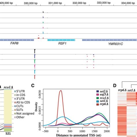 Genome Wide Identification Of Chromatin And Rna Degradation Sensitive Download Scientific