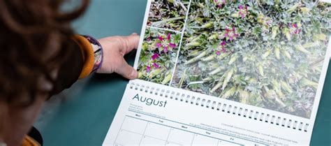 A Guide To Binding Methods Wire Bound Stapled And Perfect Binding