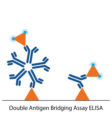 Elisa Formats For Infectious Disease Diagnostics The Native Antigen