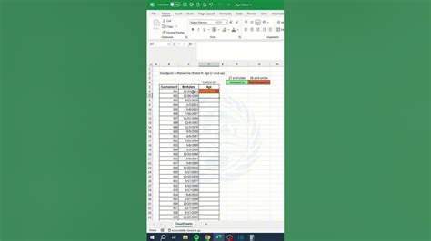 How To Create An Age Calculator In Excel Excel Excelshortcuts