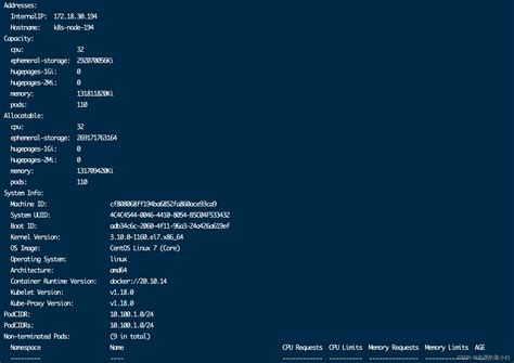 云原生技术 K8s节点组件之kubelet的学习与理解nf Csdn博客