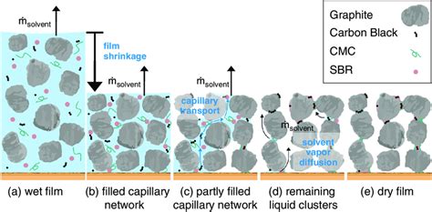 Schematic Of The Drying Process Of A Particulate Coating With The Download Scientific Diagram