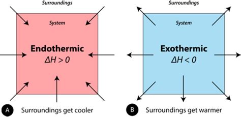 classify each process as an endothermic or exothermic process