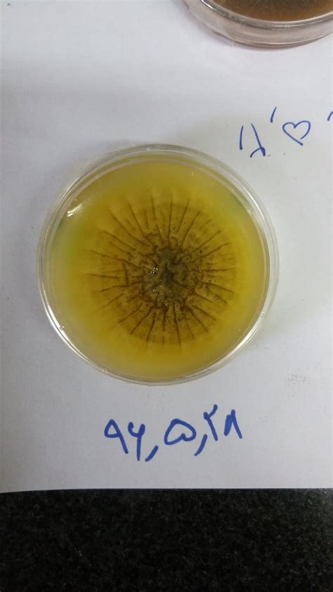 59 Questions With Answers In AIR SAMPLING Science Topic