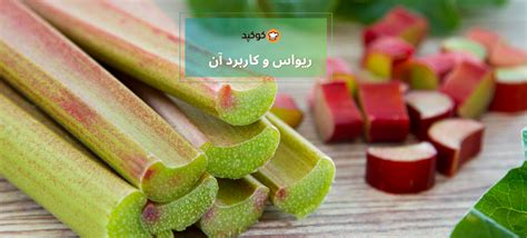 ریواس چیست و چه خوراکیهای خوشمزه‌ای میشه با آن درست کرد؟