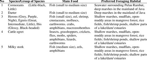 Preferred Waterbirds Foraging Habitat Outside Pulau Rambut Wildlife Download Scientific
