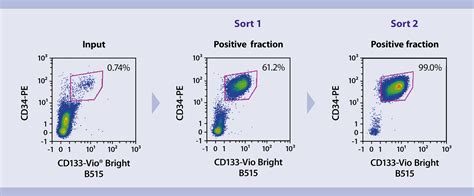 Stem Cell Sorting Macsquant Tyto Miltenyi Biotec Usa