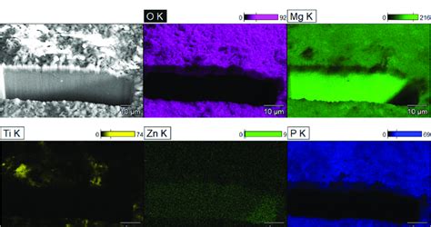 Sem Depicting The Sem Fib Cross Section Of Peo Coating Along With The