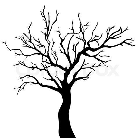 silueta árbol desnudez Vector de archivo Colourbox