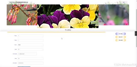 基于pythonflask框架的月子中心信息管理系统（开题程序论文） 计算机毕设月子中心脚本 Csdn博客