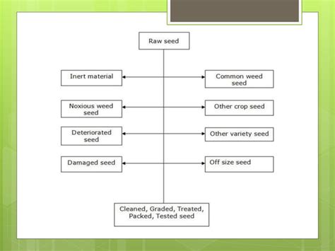 Seed Processing Principles And Movement And Steps In Seed Processing Copy Pptx Gardening