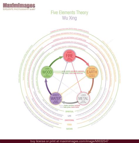 Five Elements Theory Conceptual Chart Illustration Wuxing Wu Xing In