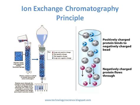 Ion Chromatography Vs Gas Chromatography