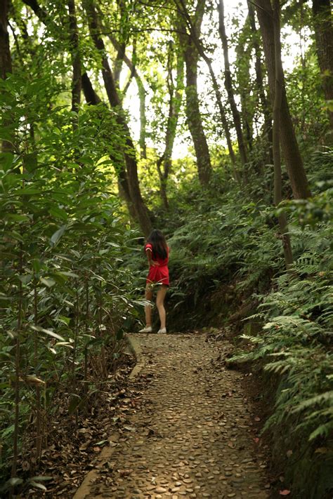 중국인 모델의 누드 사진 세트 팡팡 89 197