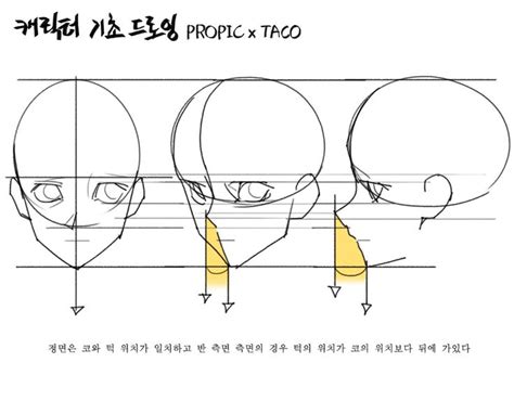 타코작가 On Twitter 해부학 예술 드로잉 강좌 드로잉
