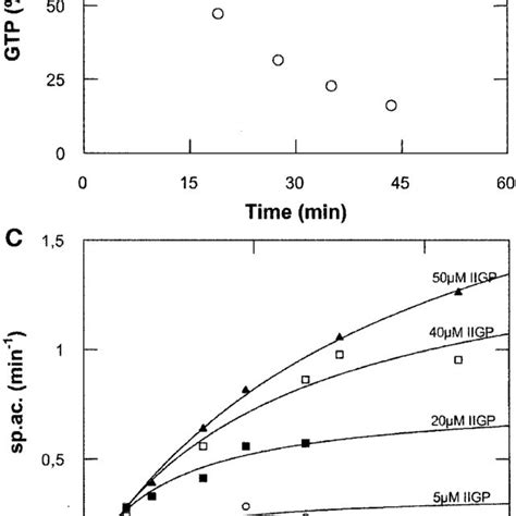 Kinetics Of Gtp Hydrolysis A Time Course Of Gtp Hydrolysis By Iigp1 Download Scientific