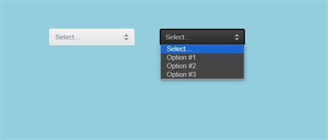 36 Stylish Css Select Elements To Use In Your Forms