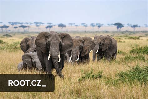 Postgresql 17 Zlepšuje Výkon Při čtení I Zápisech Rootcz