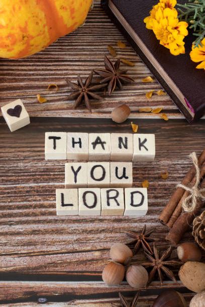 40 Thank You Lord Fotos De Stock Imagens E Fotos Royalty Free Istock