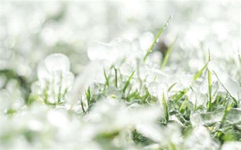 Snow Vs Hail Snow Showers Understanding Winter Weather The Snow Day Calculator
