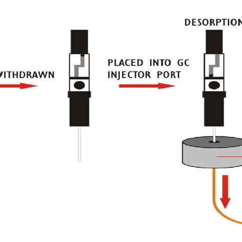 Principles Of Extraction By Headspace Solid Phase Microextraction