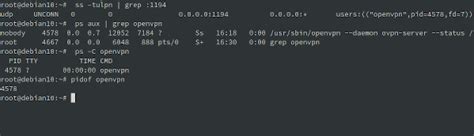 Debian 10 Set Up Openvpn Server In 5 Minutes Nixcraft
