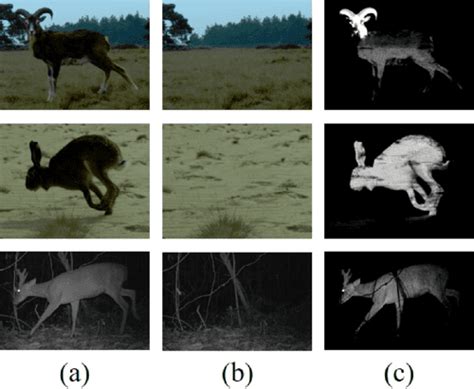 Towards Real Time Object Detection On Edge With Deep Neural Networks Semantic Scholar