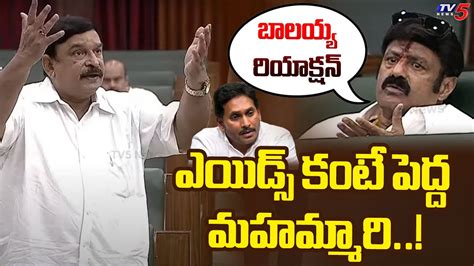 Bjp Mla Vishnu Kumar Raju About Jagan Scams In Assemby Balakrishna