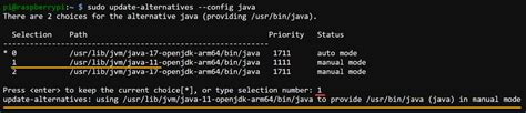 Java On Raspberry Pi Learn How To Install