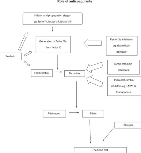 Full Article The Prevention And Treatment Of Venous Thromboembolism