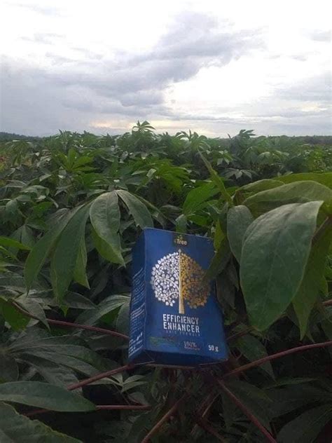 ឆវី លក់ជី កសិកម្ម Added A New Photo ឆវី លក់ជី កសិកម្ម