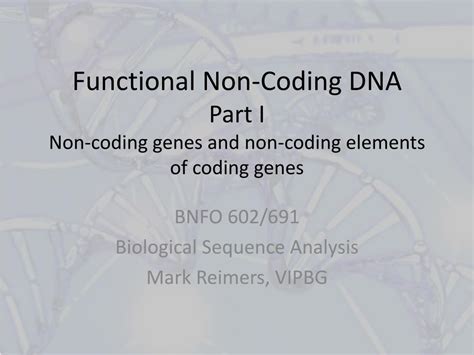 PPT Functional Non Coding DNA Part I Non Coding Genes And Non Coding Elements Of Coding Genes