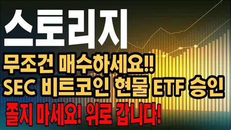 스토리지 코인주가전망 코인대응전략 코인매수타이밍 코인목표가 앞으로의 전략 Youtube