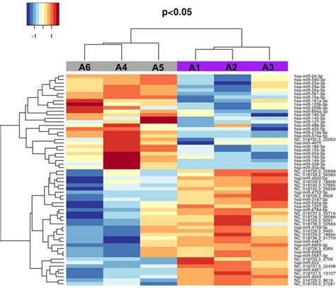 Heatmap Created Using The R Package Gplots Version 3 03 Download Scientific Diagram
