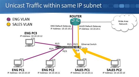 vlan access ports cisco ccna tutorial flackbox