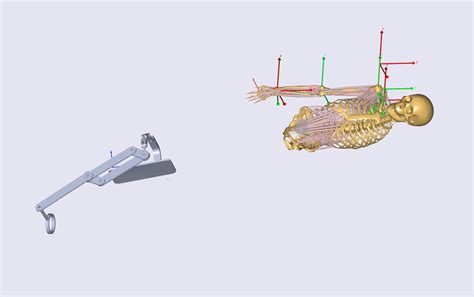 Connecting Exoskeleton Model To Human Arm Main Forum Anyscript Forum