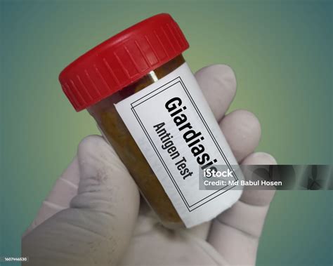 Stool Sample For Giardia Antigen Test For Giardiasis Disease Diagnosis