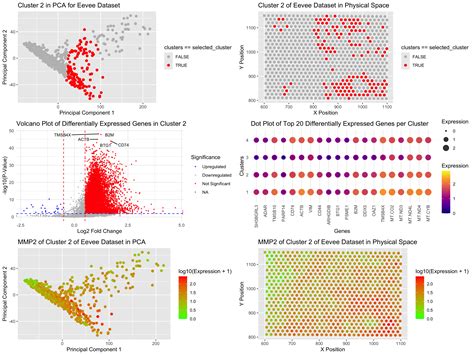 Eevee Genes DIfferential Expression MMP Genomic Data Visualization