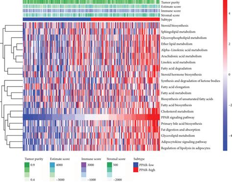 A The Heat Map Reveals The Results Of The Ssgsea Algorithm B The Download Scientific